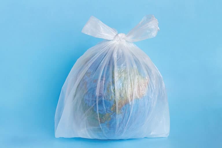 Bioplastics And Packaging: All You Need To Know