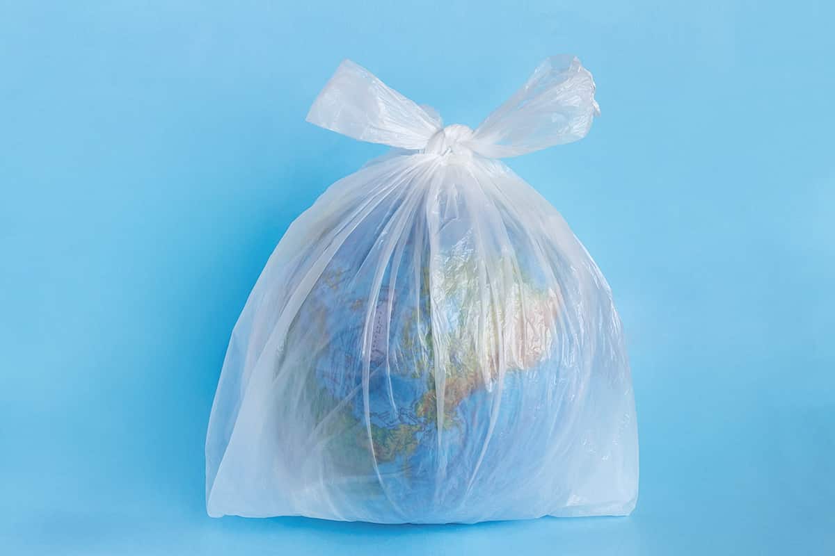 Bioplastics And Packaging: All You Need To Know