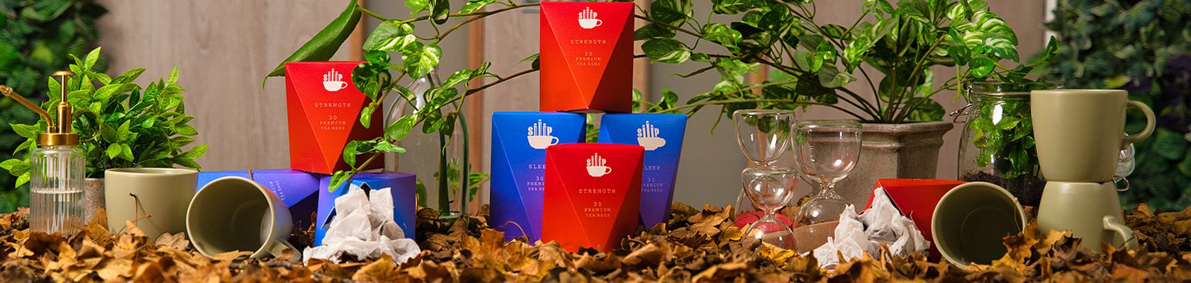 Sustainable and Eco Packaging Solutions – Eden Product Range